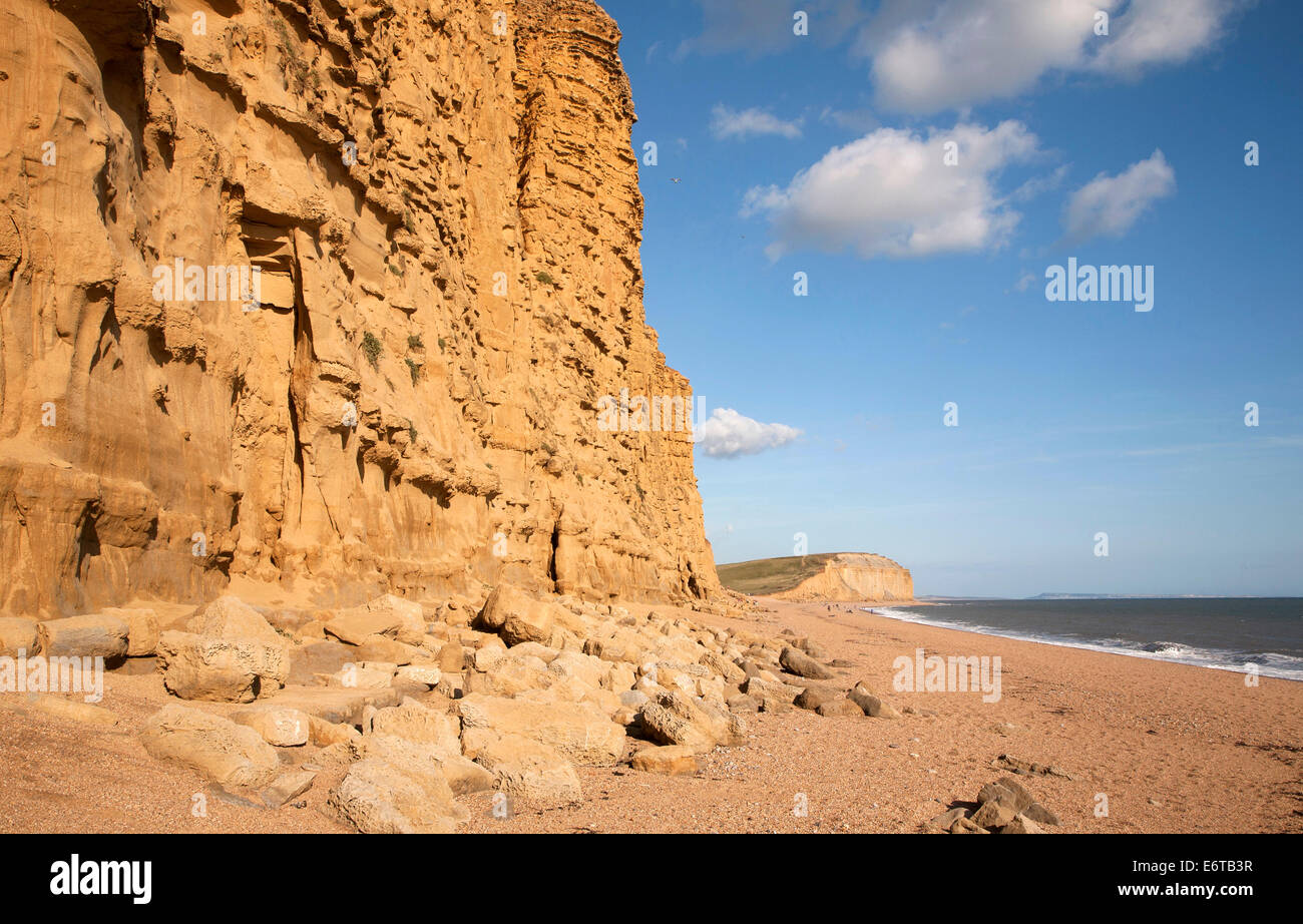 Bridport cliffs hi-res stock photography and images - Alamy