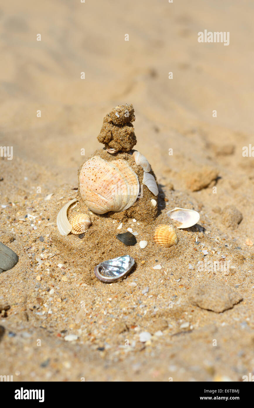 Sandcastle on the beach Stock Photo - Alamy