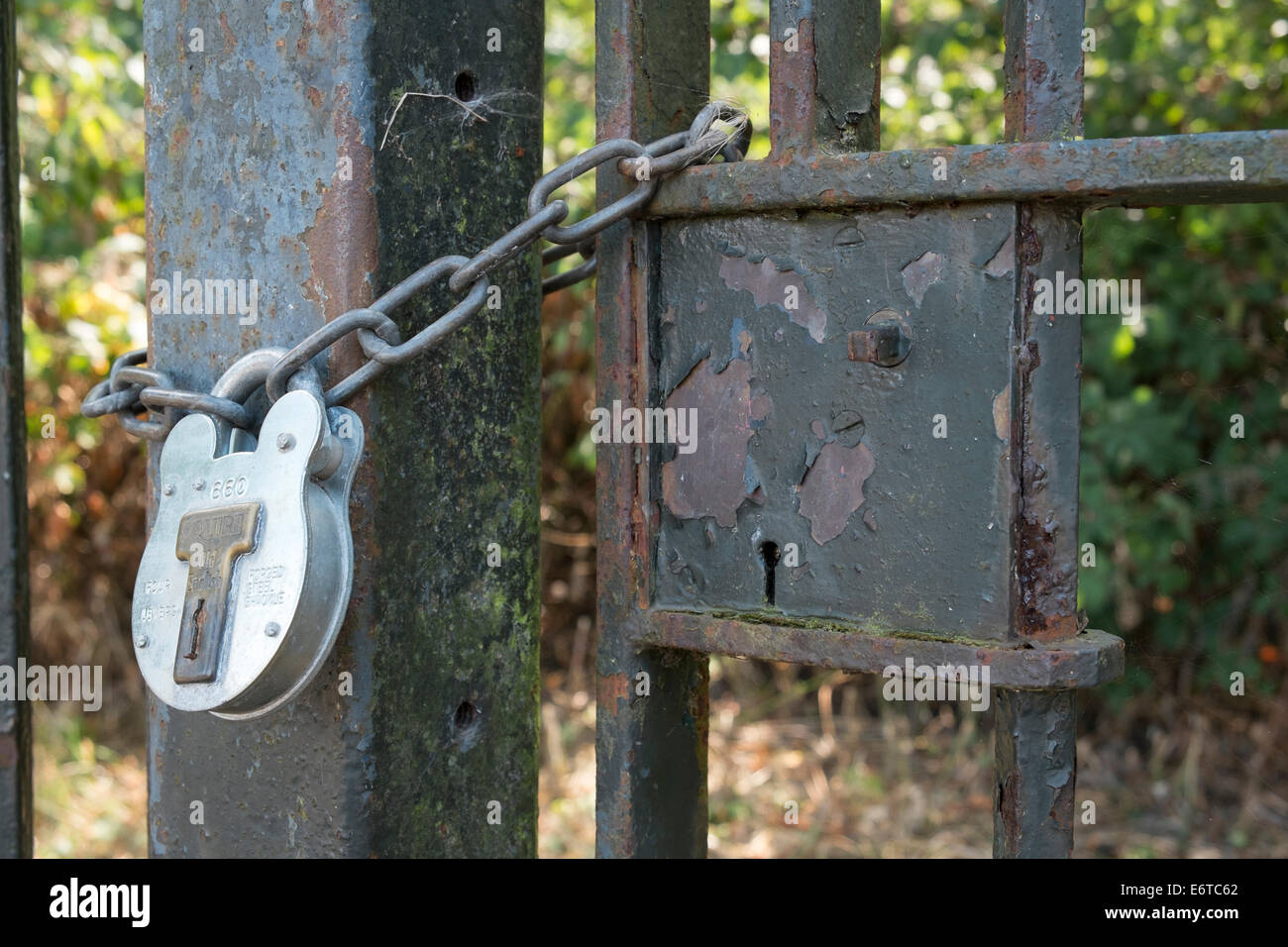 New padlock on a rusty fence Stock Photo - Alamy