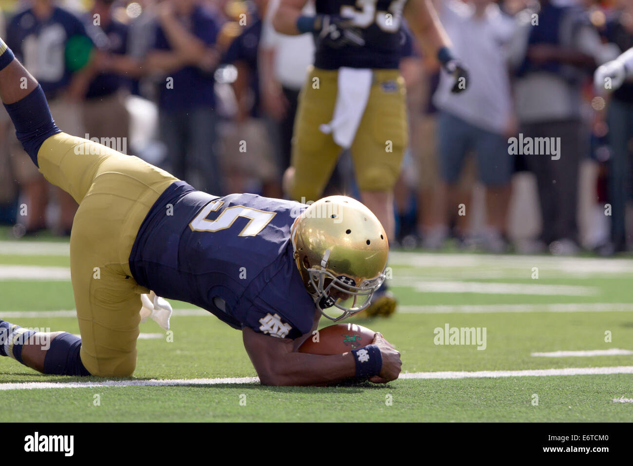 South Bend, Indiana, USA. 30th Aug, 2014. Notre Dame QB EVERETT GOLSON ...