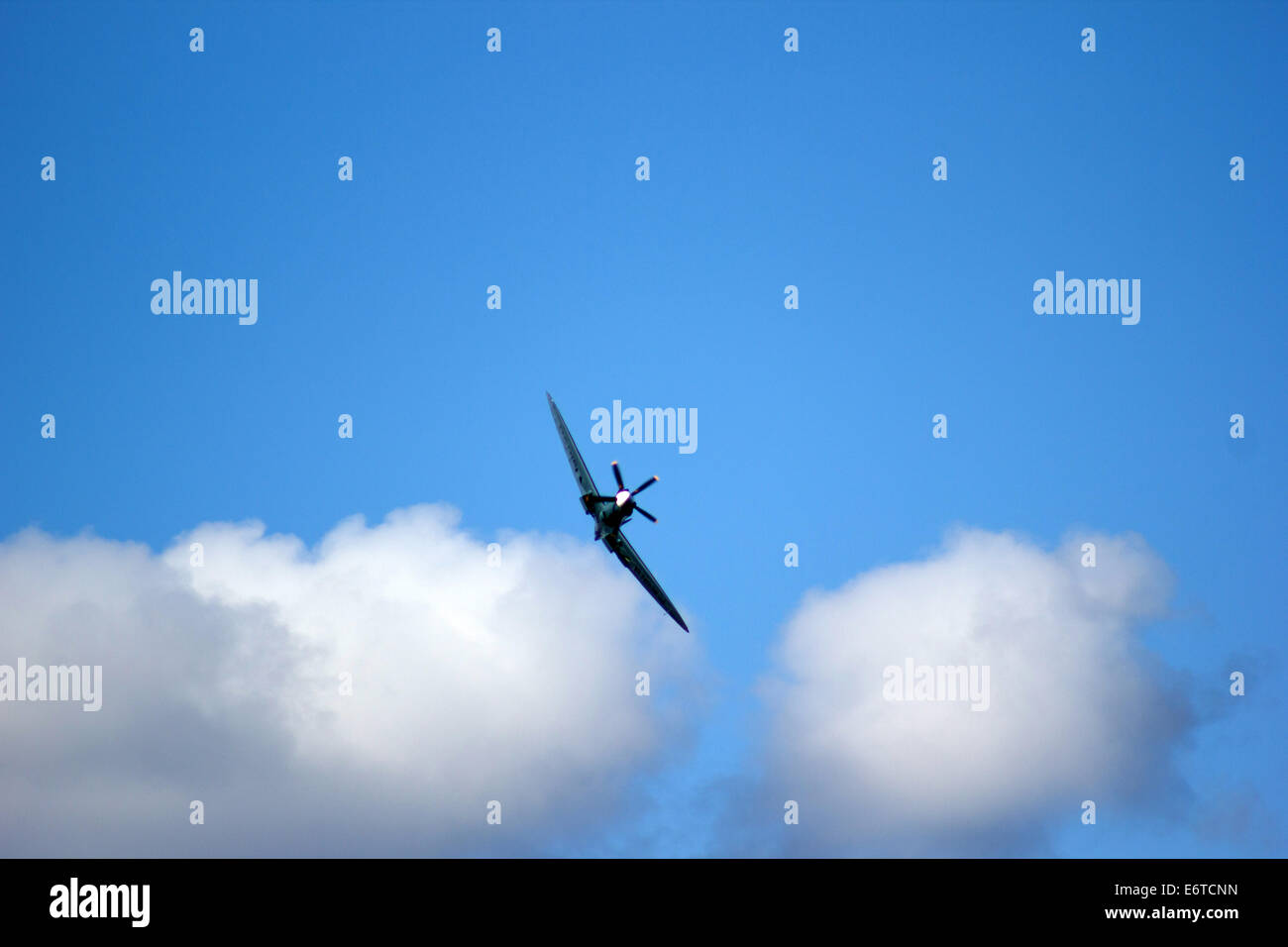 Battle of Britain Spitfire, head on Stock Photo - Alamy