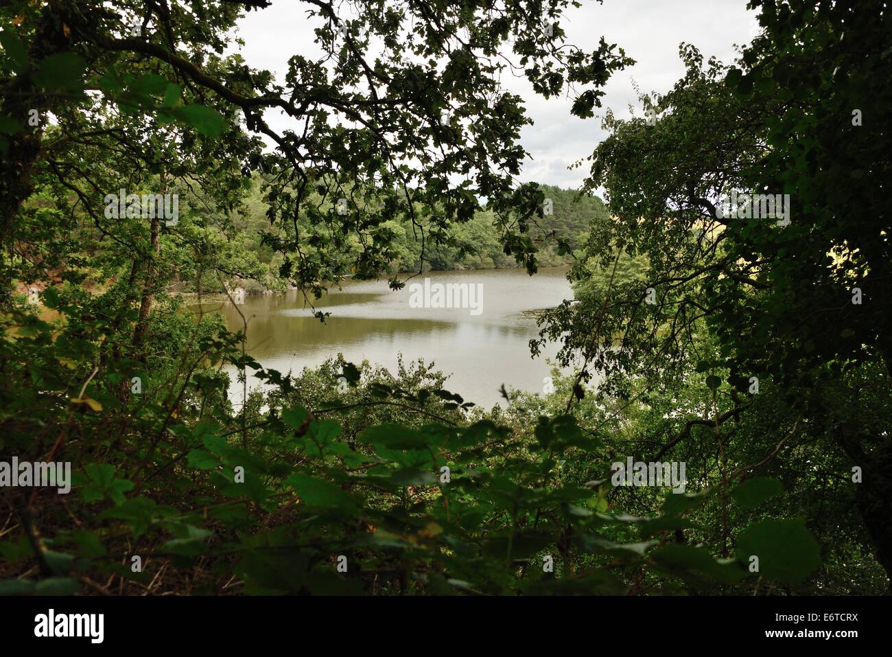 Pen pond hi-res stock photography and images - Alamy