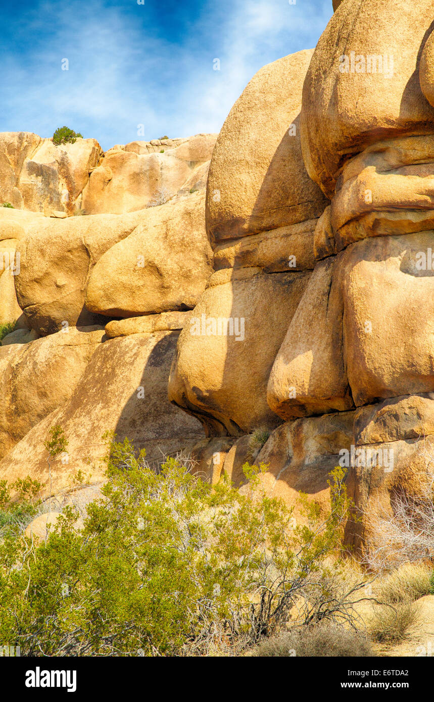 Boulders and Joshua Trees in Joshua Tree National Park, California ...