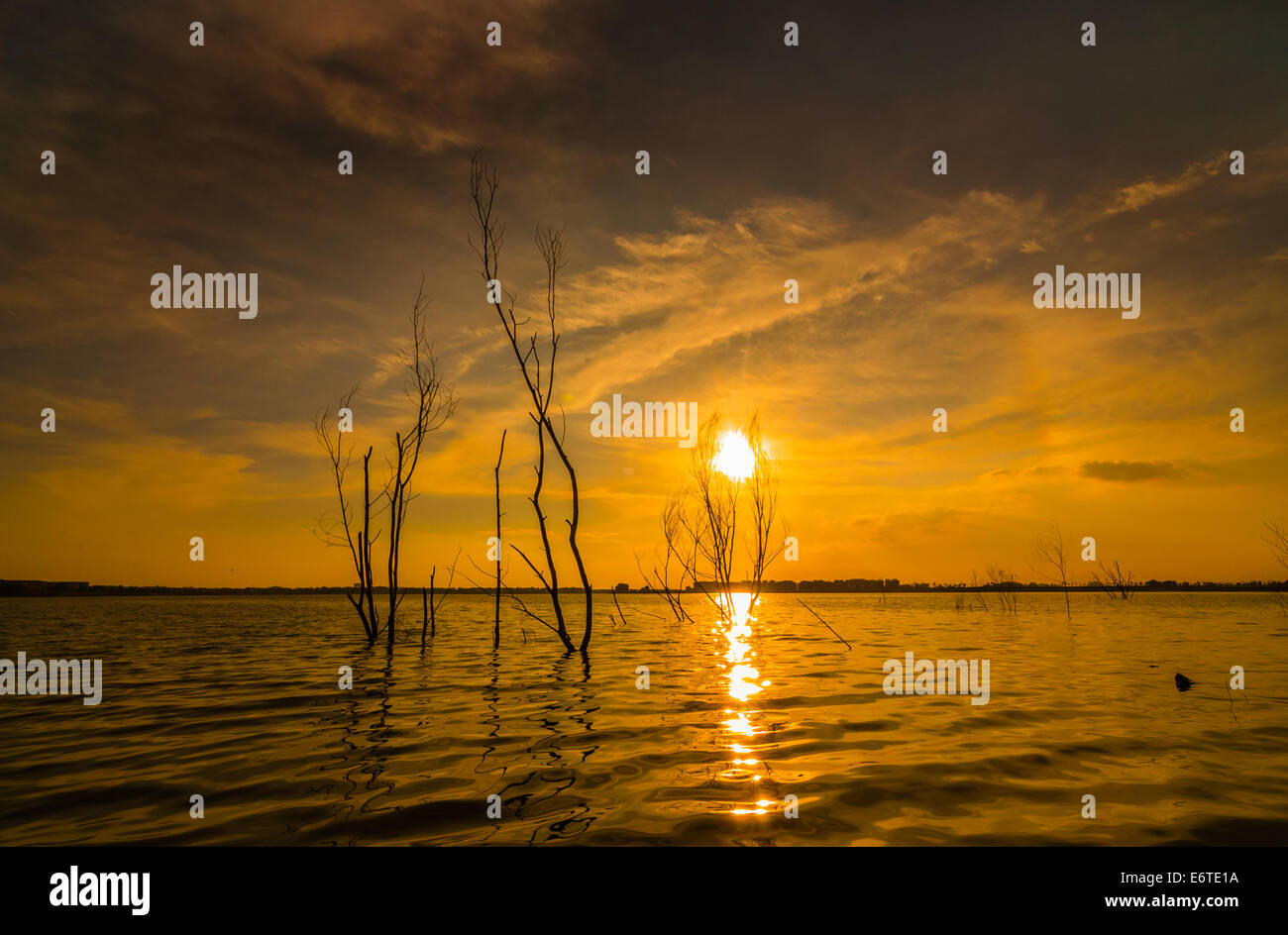 Puchong lake hi-res stock photography and images - Alamy