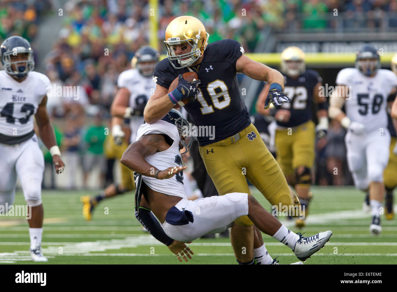 South Bend, Indiana, USA. 30th Aug, 2014. Notre Dame TE BEN KOYACK (18 ...