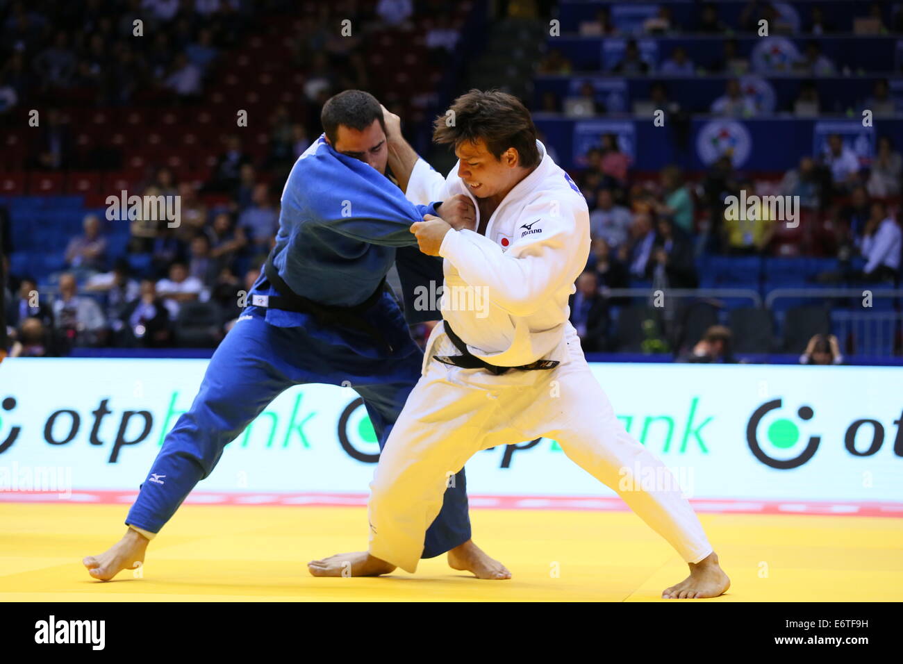 David ryu hi-res stock photography and images - Alamy