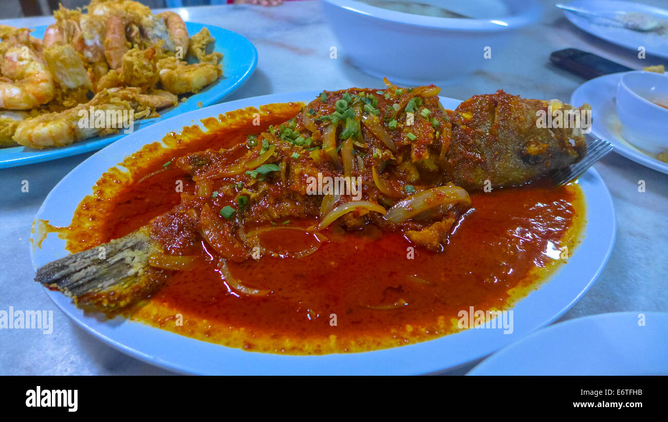 Tomato grouper hi-res stock photography and images - Alamy