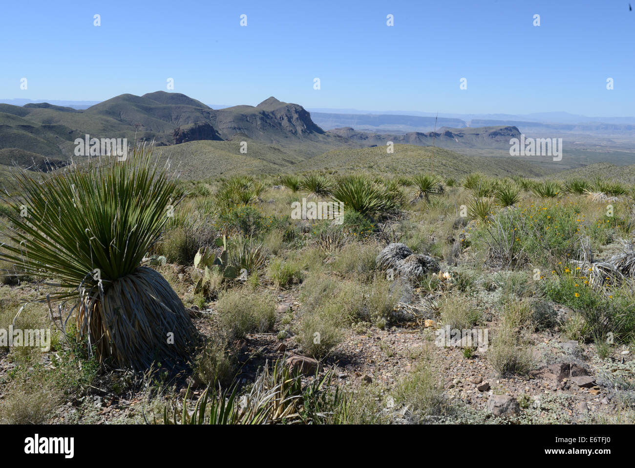 Landscape and buildings in the Big Bend National Park area of West ...