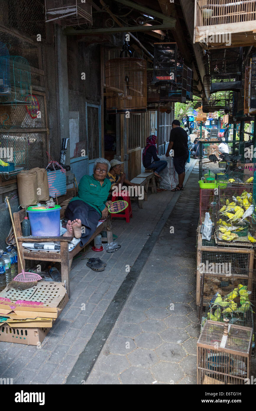 Yogyakarta, Java, Indonesia. Street Scene in the Bird Market Stock ...