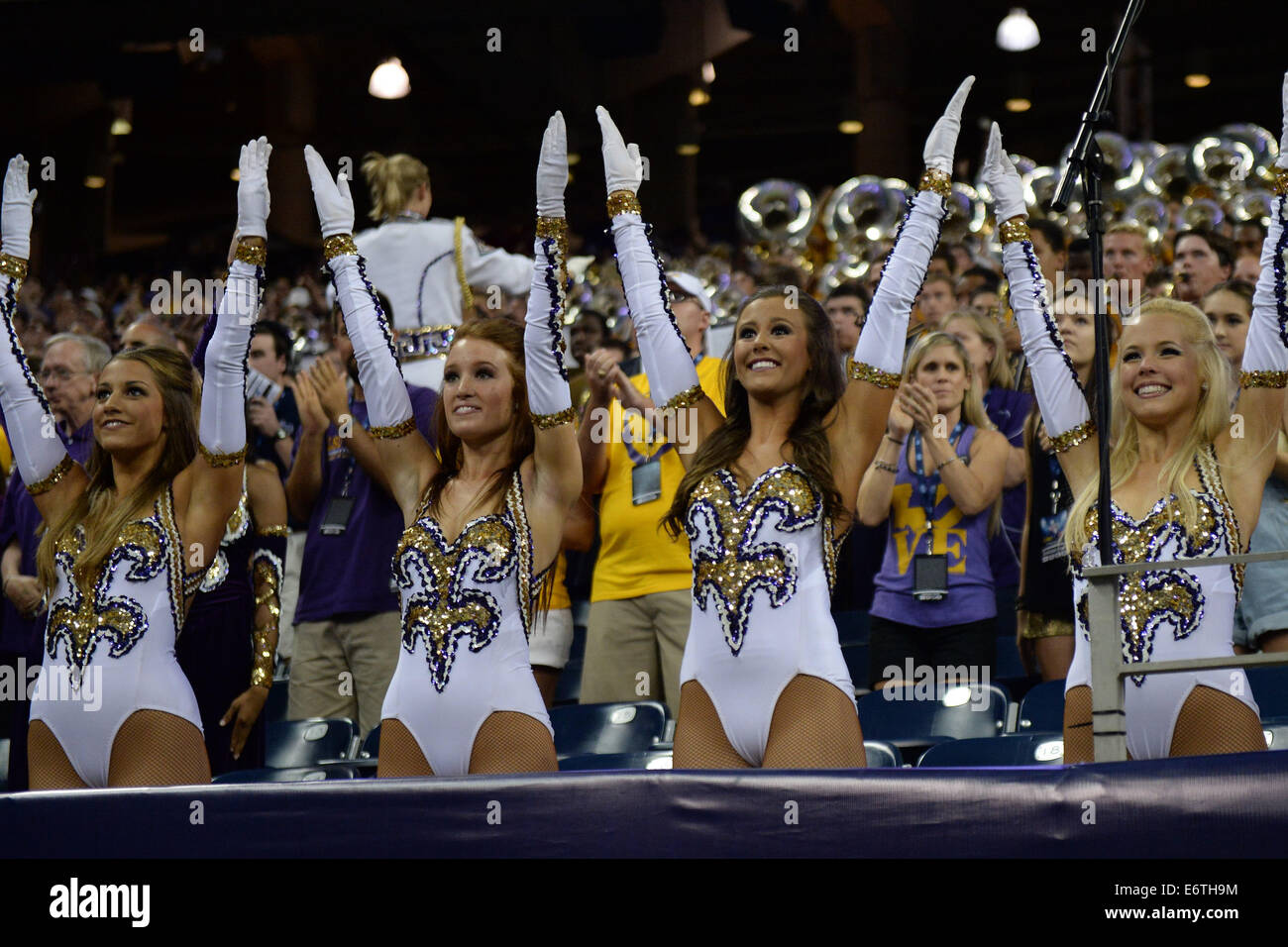 Wisconsin Badgers Stock Photos & Wisconsin Badgers Stock Images - Alamy