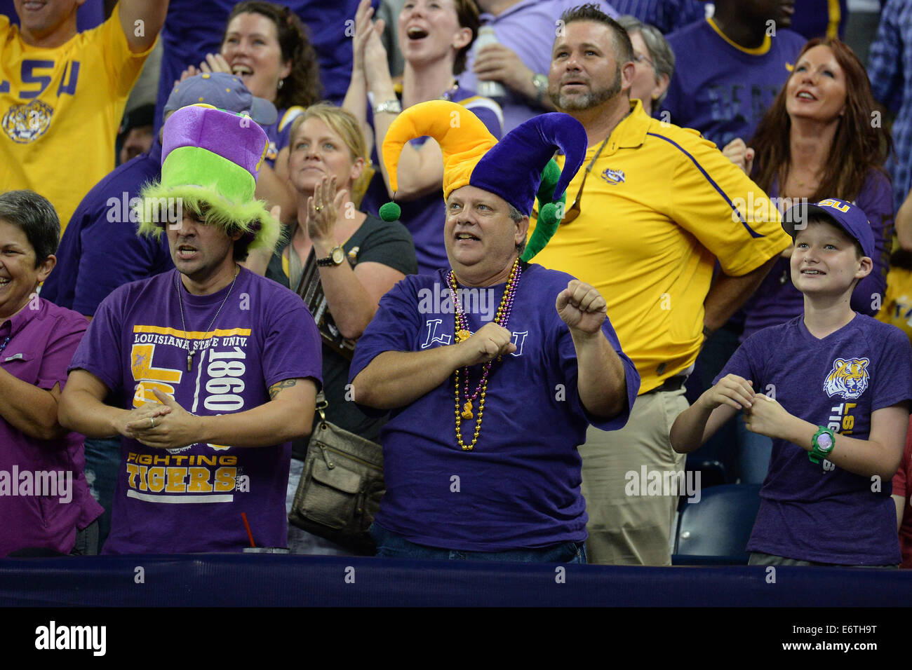 Lsu fans hi-res stock photography and images - Alamy