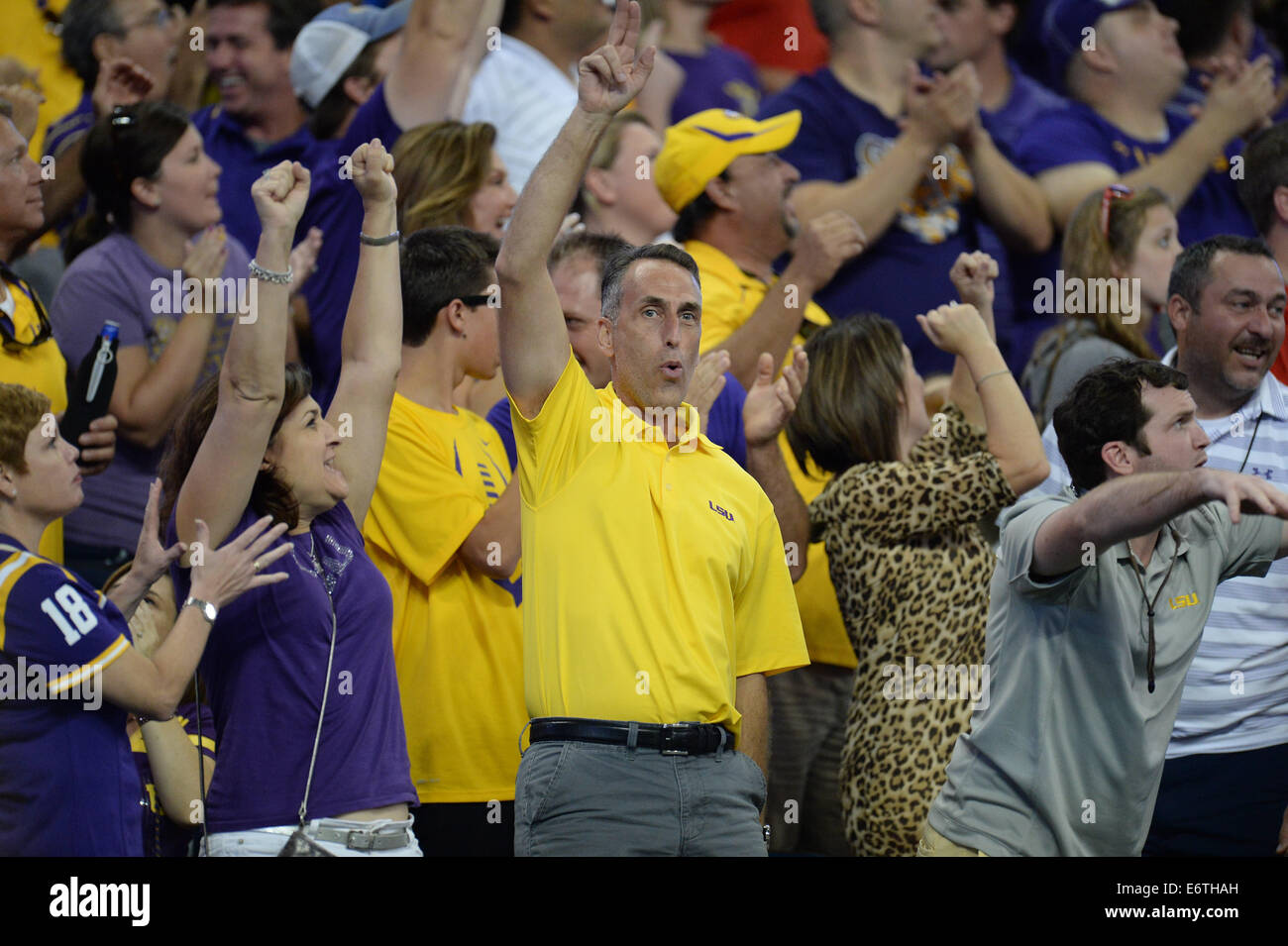 Houston, Texas, USA. 30th Aug, 2014. LSU Tigers fans celebrate a ...