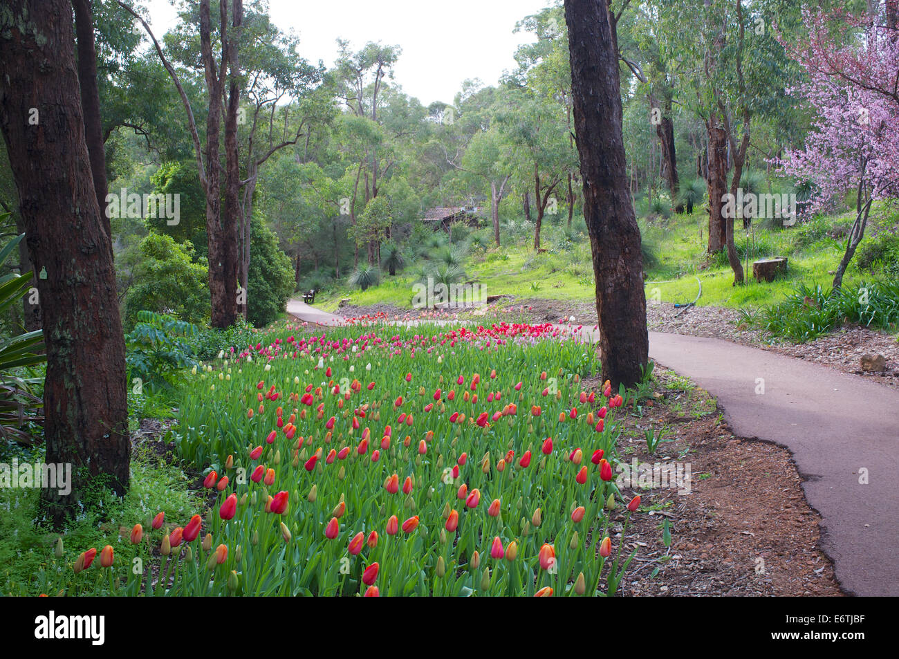 Darling Ranges High Resolution Stock Photography and Images - Alamy