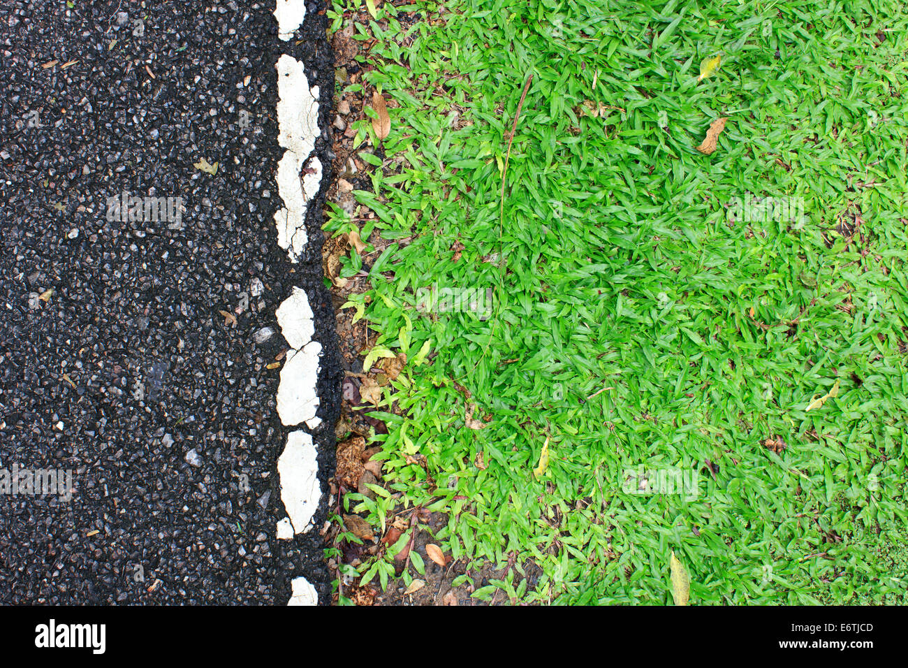 The road and grass Stock Photo - Alamy