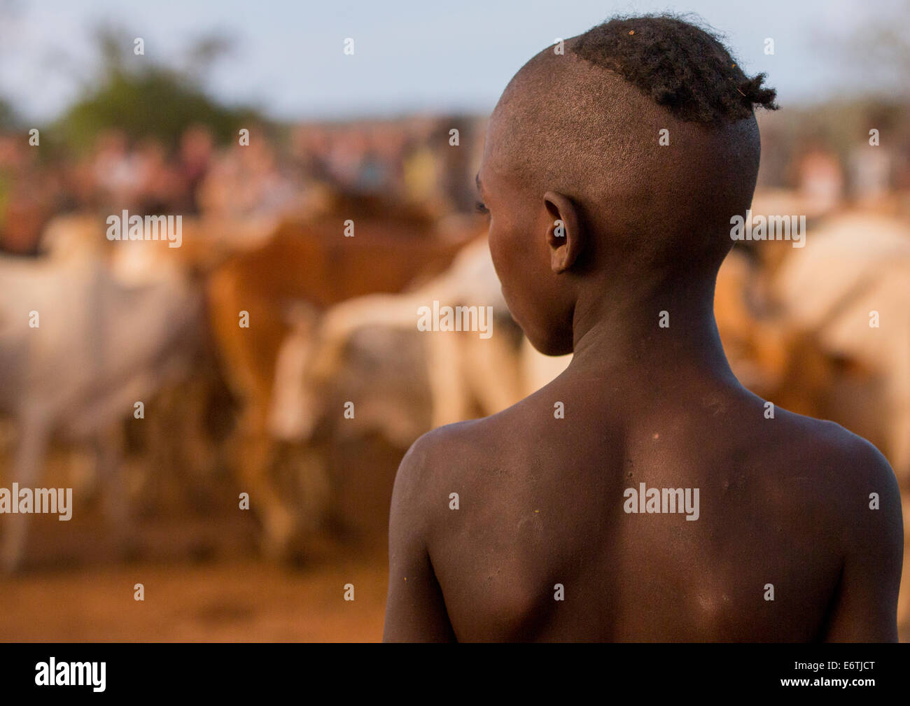 Bashada hi-res stock photography and images - Alamy