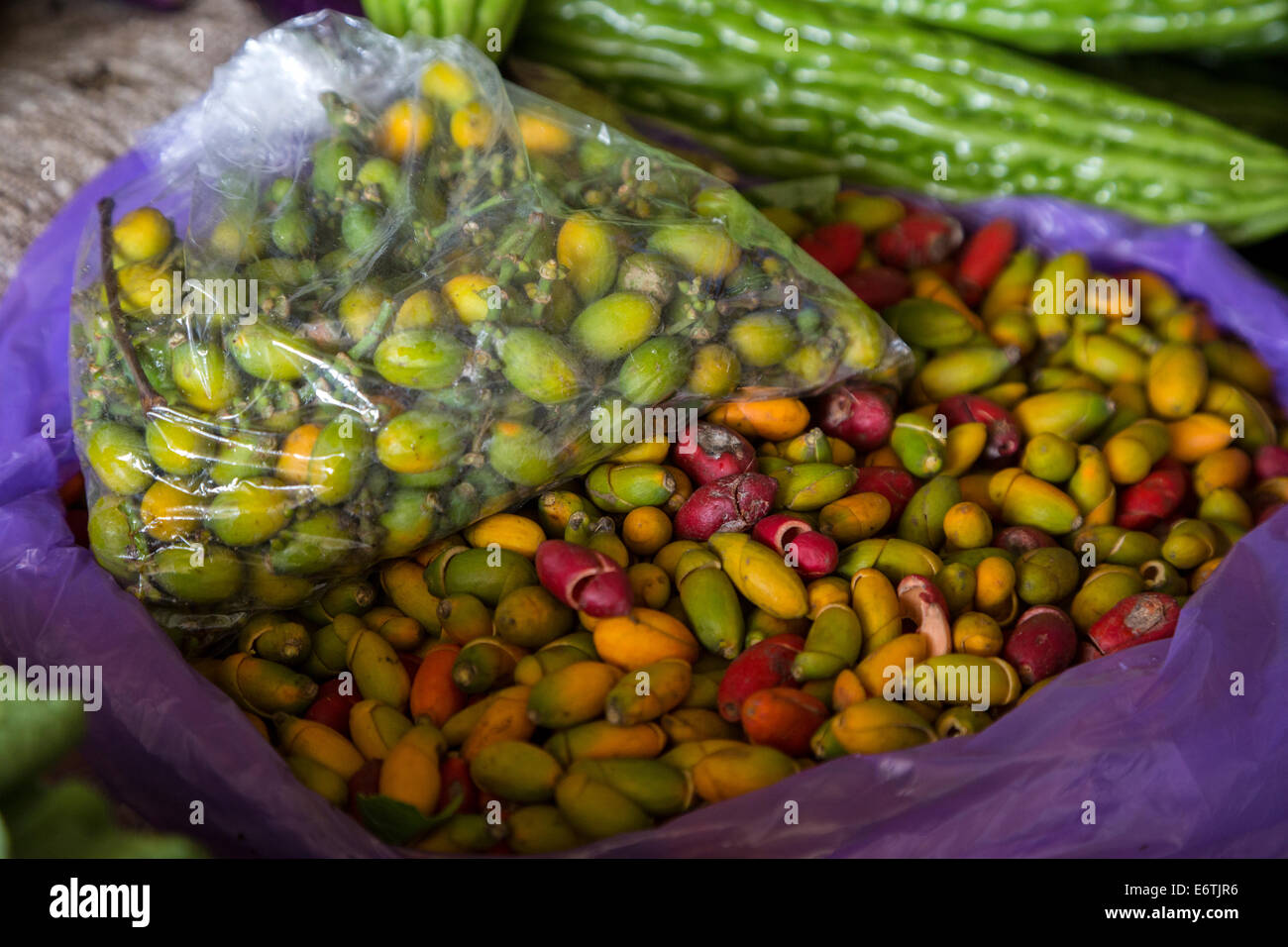 Yogyakarta, Java, Indonesia. Melinjo Fruit, also called Padi Oats or ...
