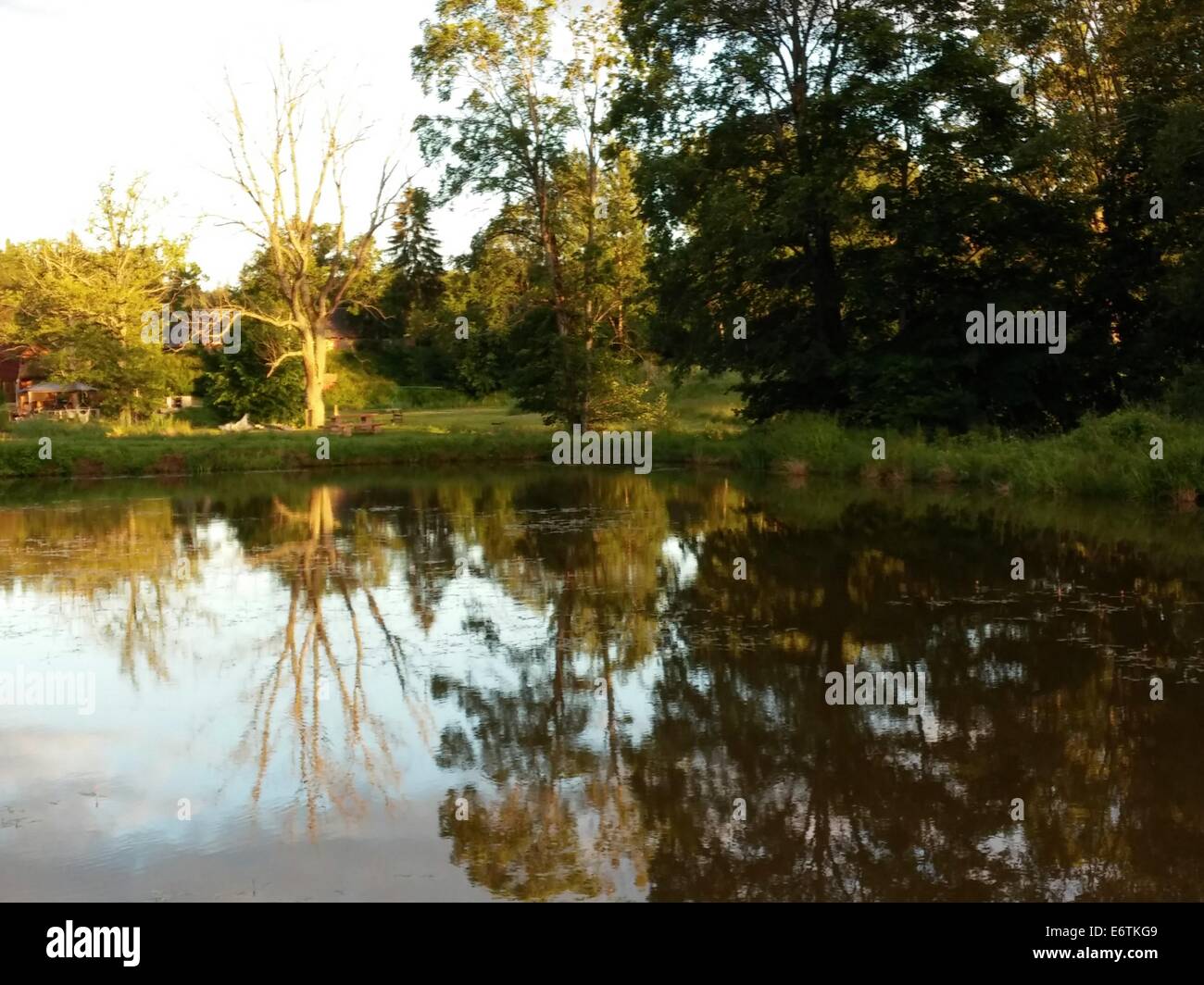 Idyllic forest path by the lake in autumn Stock Photo - Alamy