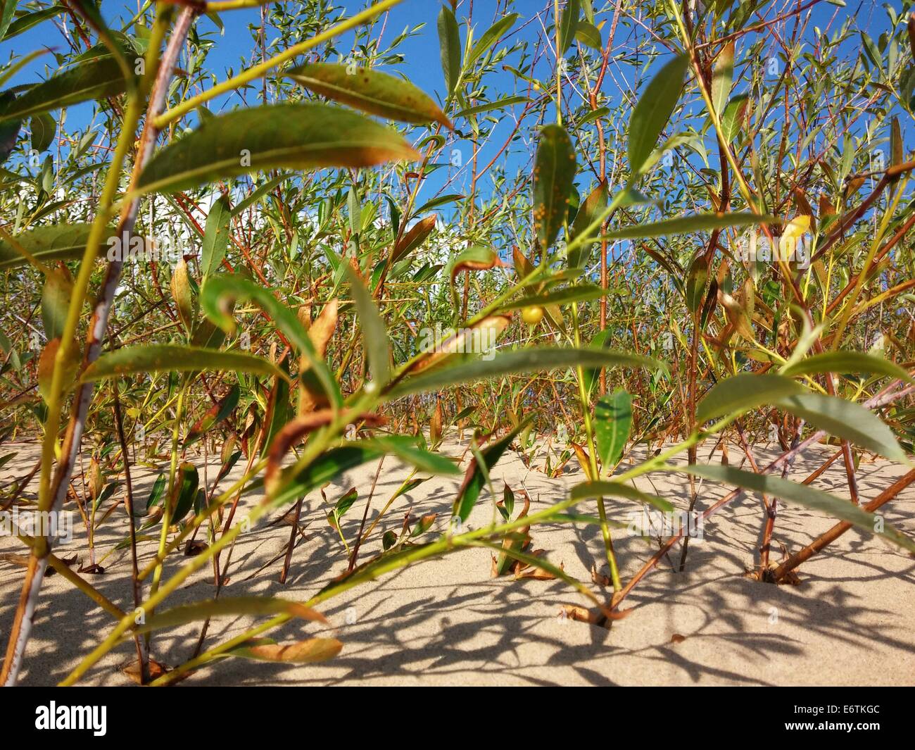 Bermuda pollution hi-res stock photography and images - Alamy