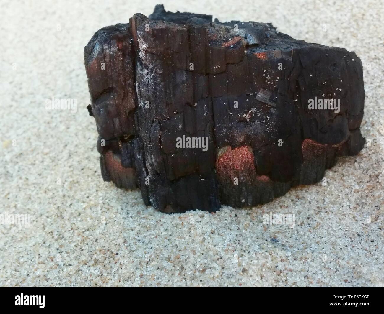 Burned Log on Sand Baltic Beach coal Stock Photo - Alamy