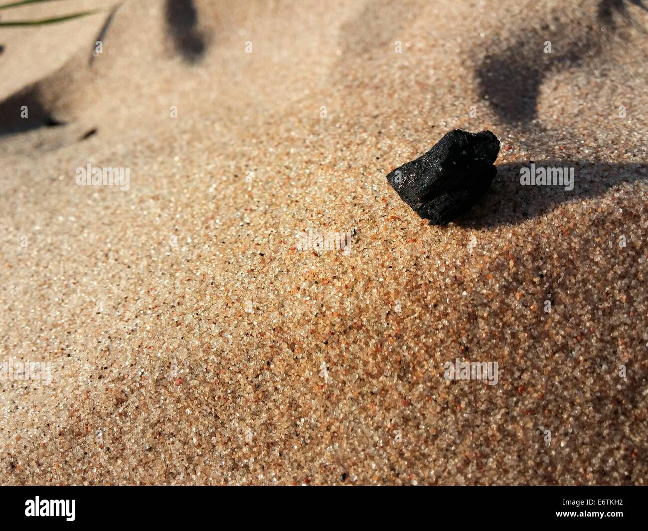 Burned Log on Sand Baltic Beach coal Stock Photo - Alamy