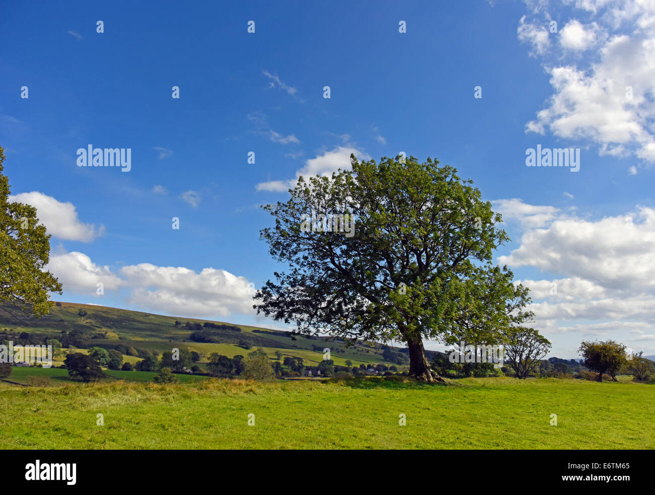 Summer landscape. Casterton, Cumbria, England, United Kingdom, Europe ...