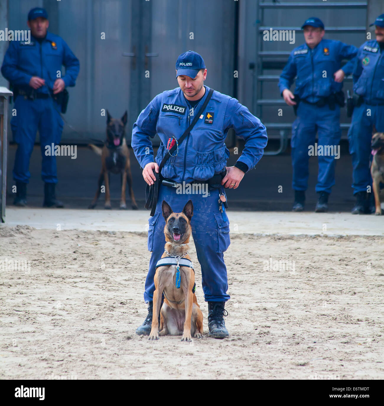 Switzerland cop uniform dog hi-res stock photography and images - Alamy