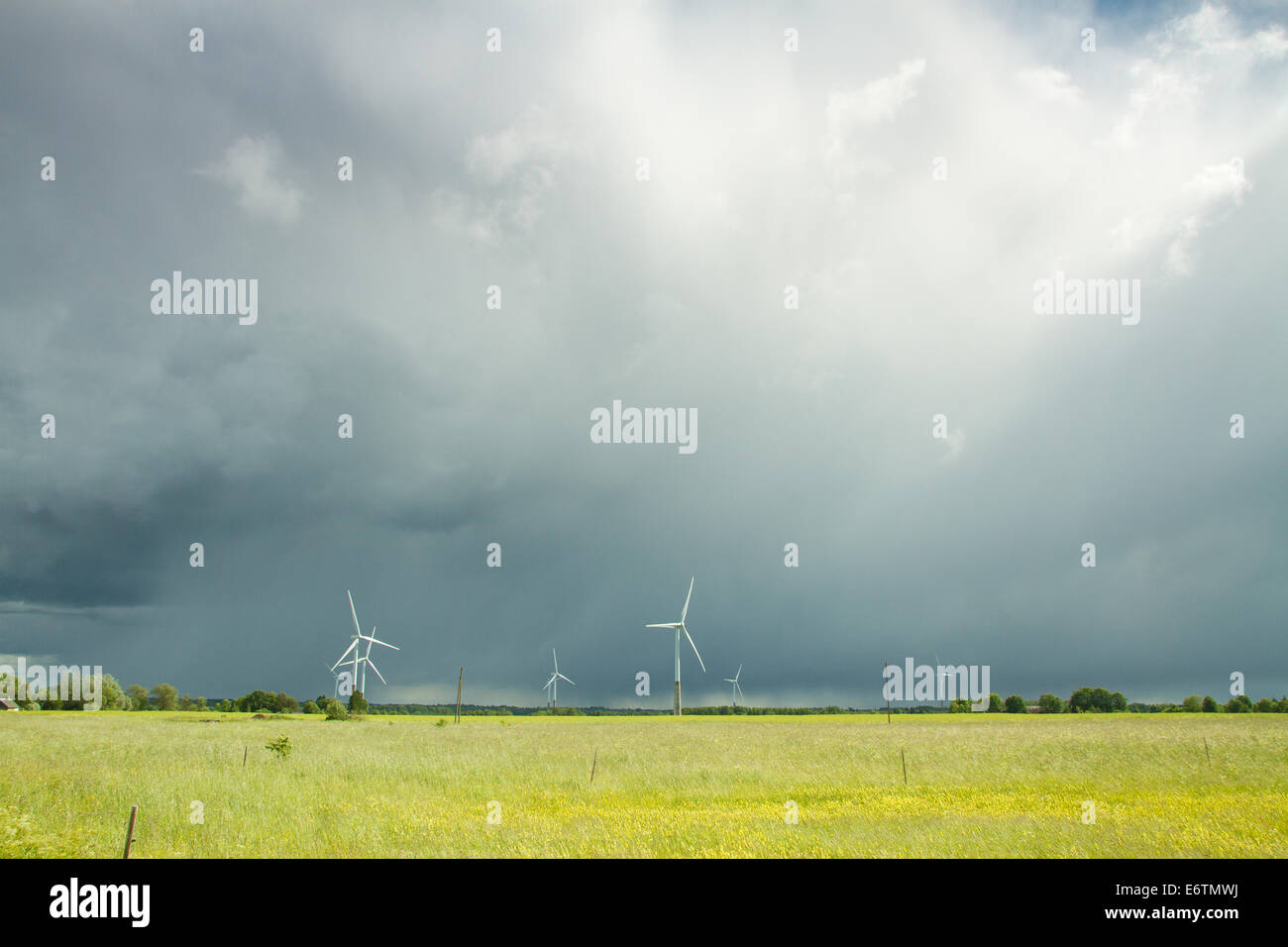 summer landscape. beautiful places in Eastern Europe. Baltics Stock ...