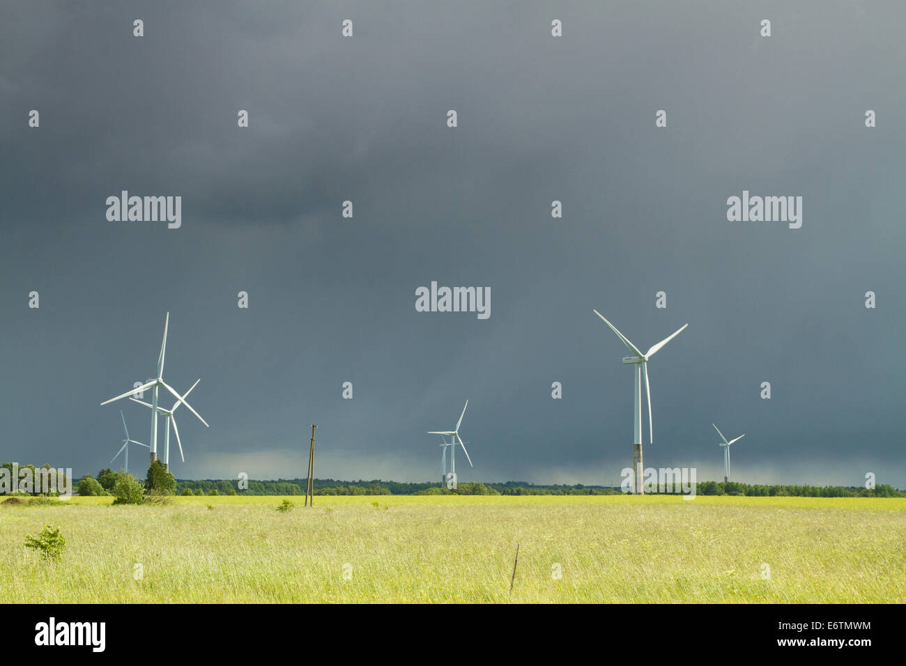 summer landscape. beautiful places in Eastern Europe. Baltics Stock ...
