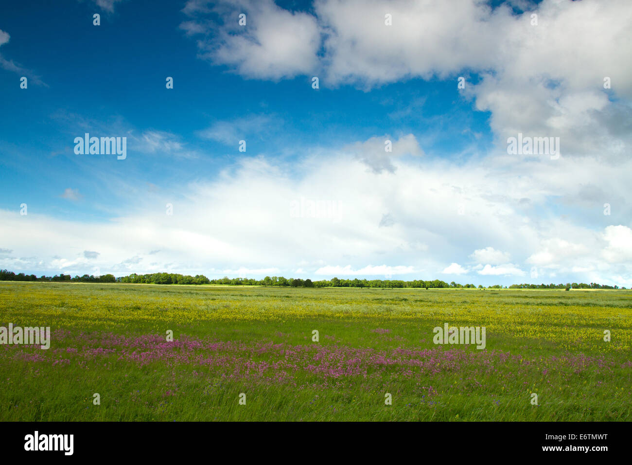 summer landscape. beautiful places in Eastern Europe. Baltics Stock ...