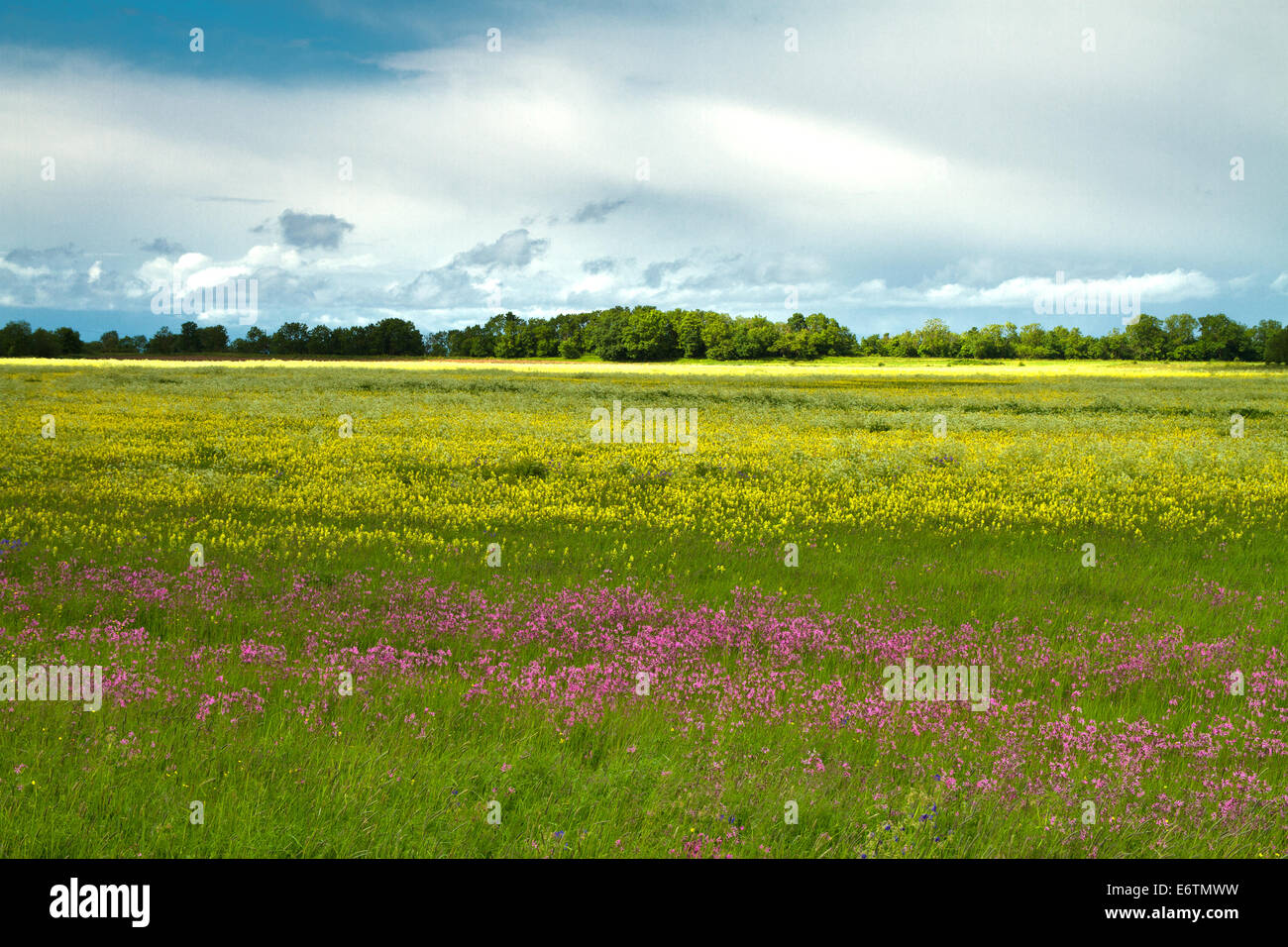 summer landscape. beautiful places in Eastern Europe. Baltics Stock ...