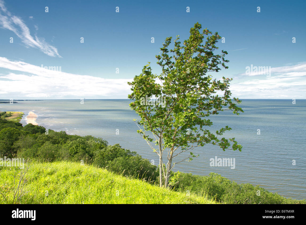 summer landscape. beautiful places in Eastern Europe. Baltics Stock ...