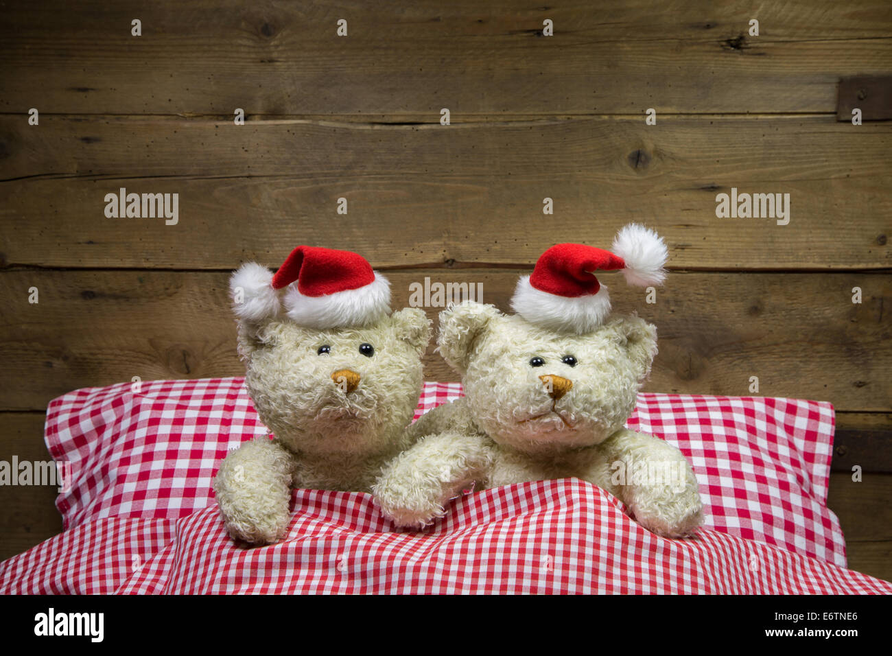 Two bears sleeping hi-res stock photography and images - Alamy