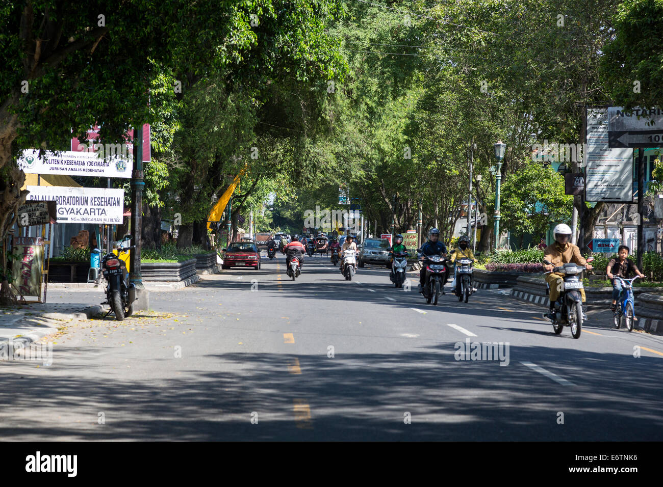 Yogyakarta, Java, Indonesia. Tree-lined Street in Suburban Area Stock ...