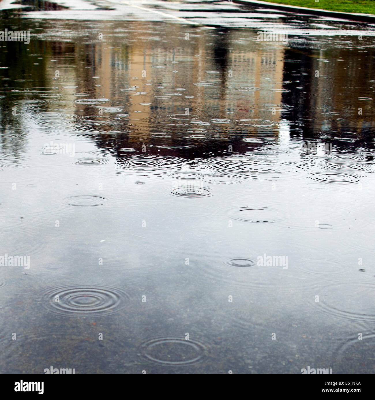 Rain drops rippling in a puddle with buildings, sky and trees ...