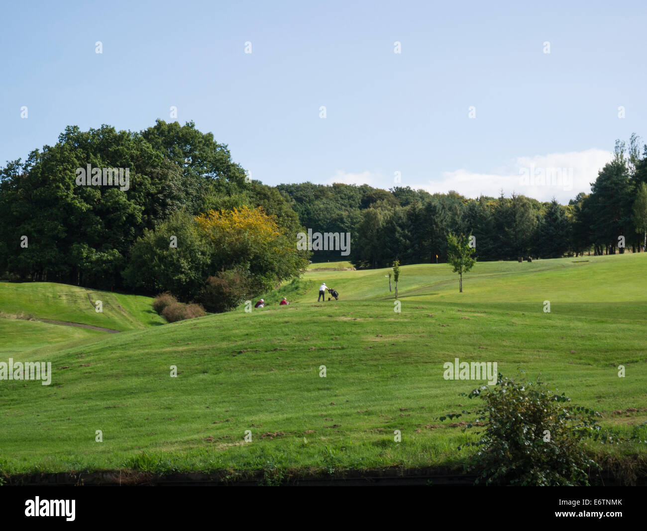 Golfers on the popular golf course Haigh Hall Country Park Wigan ...