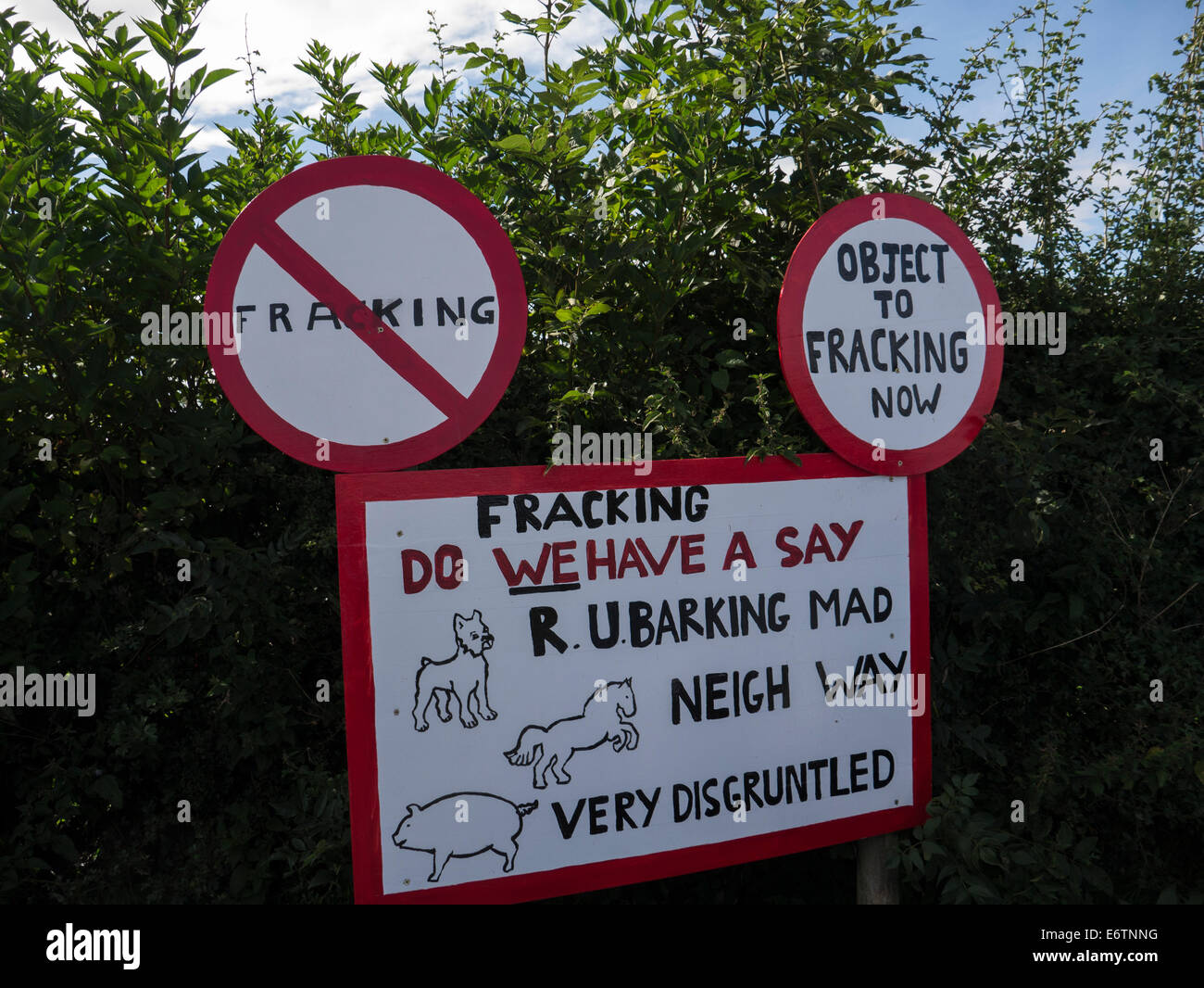 No Fracking signs put up by concerned villagers Lancashire England UK ...