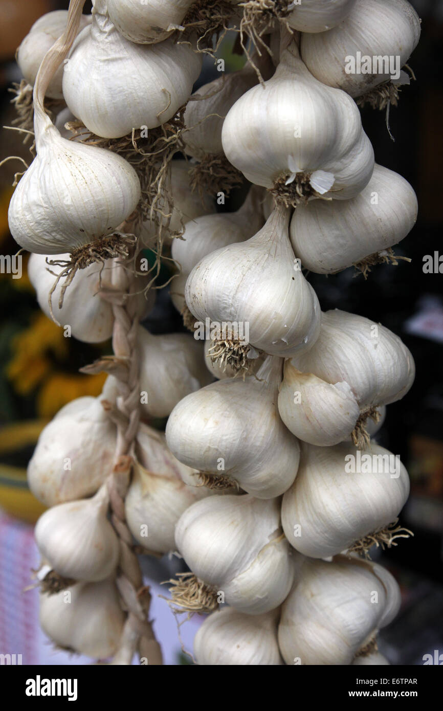 String of garlic Stock Photo - Alamy