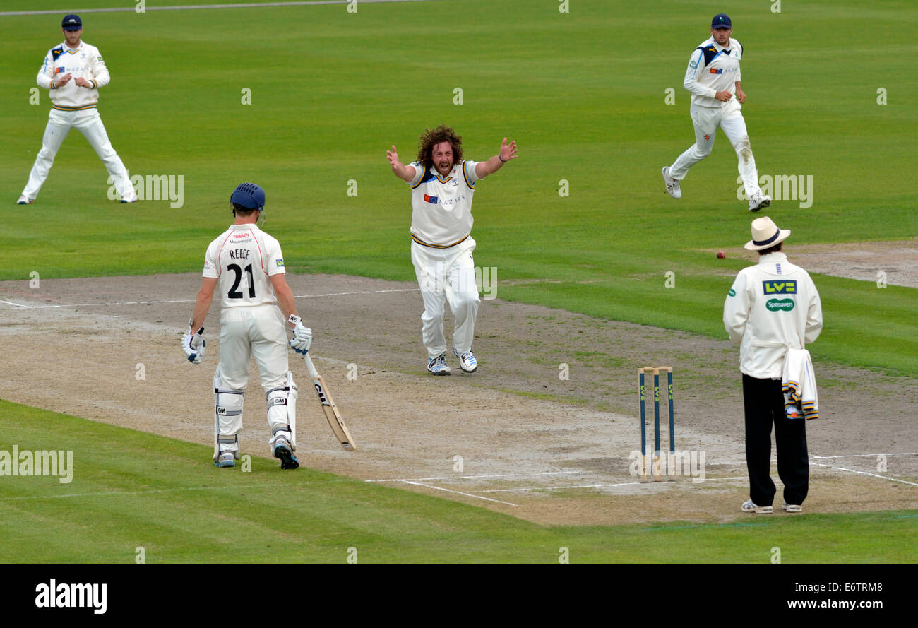 Manchester, UK. 31st Aug, 2014. Ryan Sidebottom (Yorkshire) makes a ...