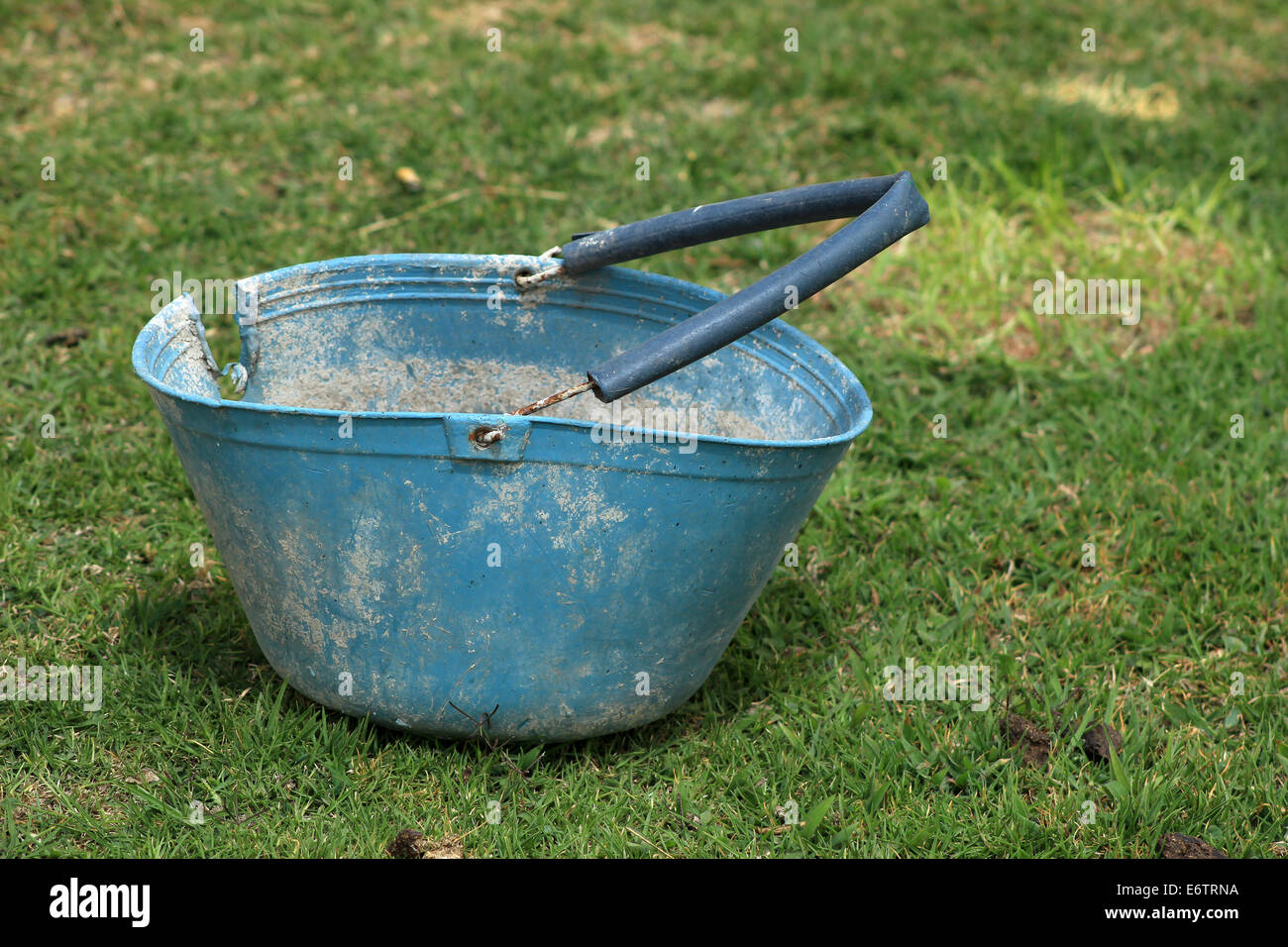 A blue metal bucket in a field of grass on a farm in Cotacachi, Ecuador ...