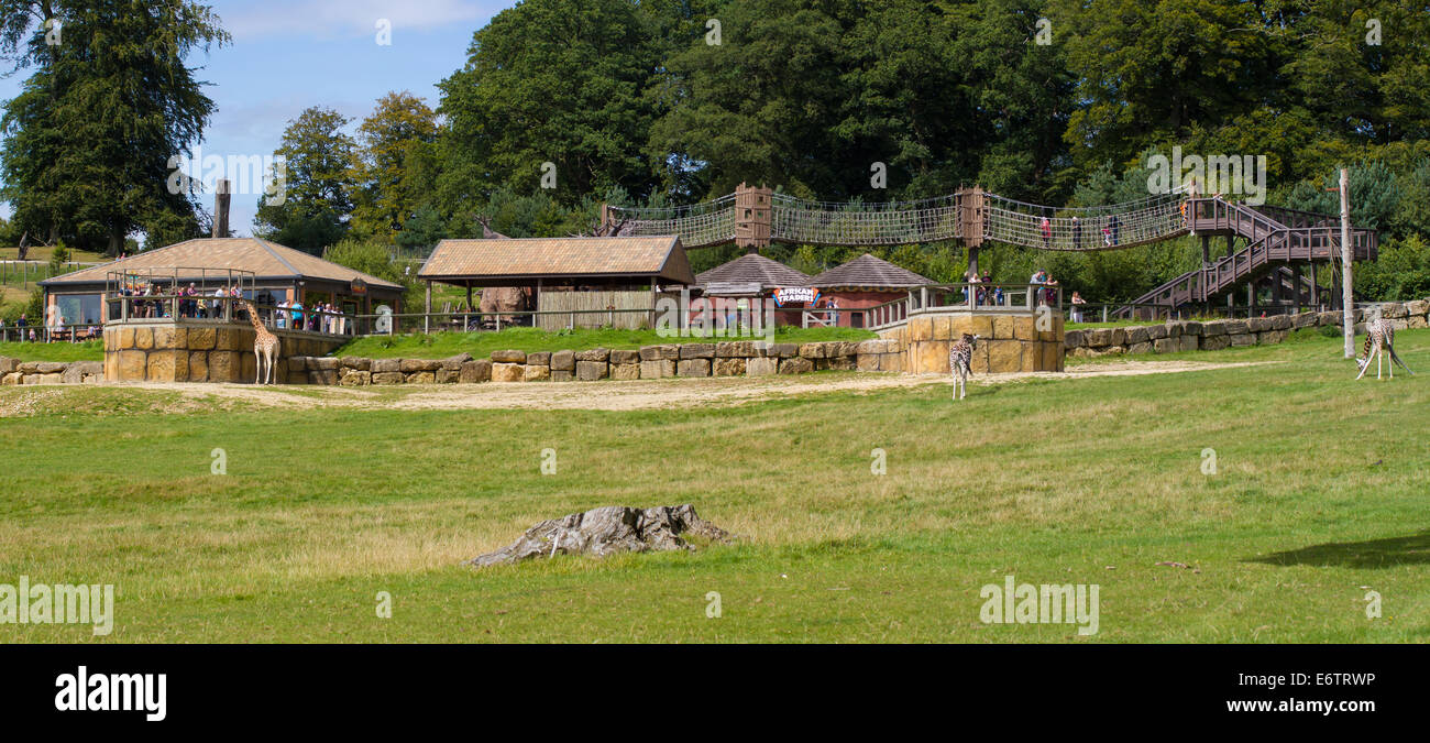 The African Village at Longleat Safari Park Stock Photo - Alamy