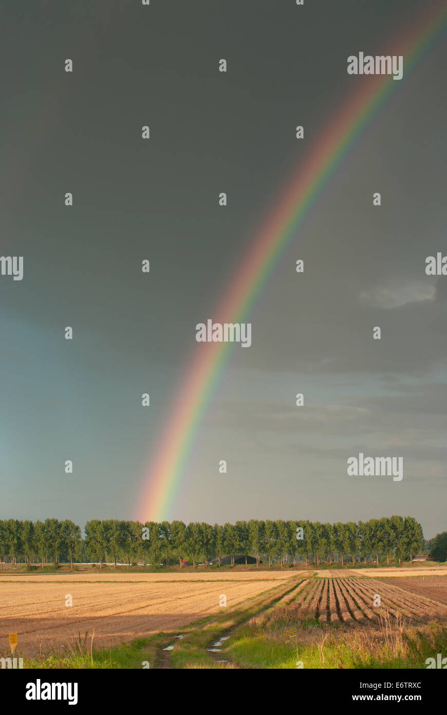 Bright rainbow over a farm field Stock Photo - Alamy