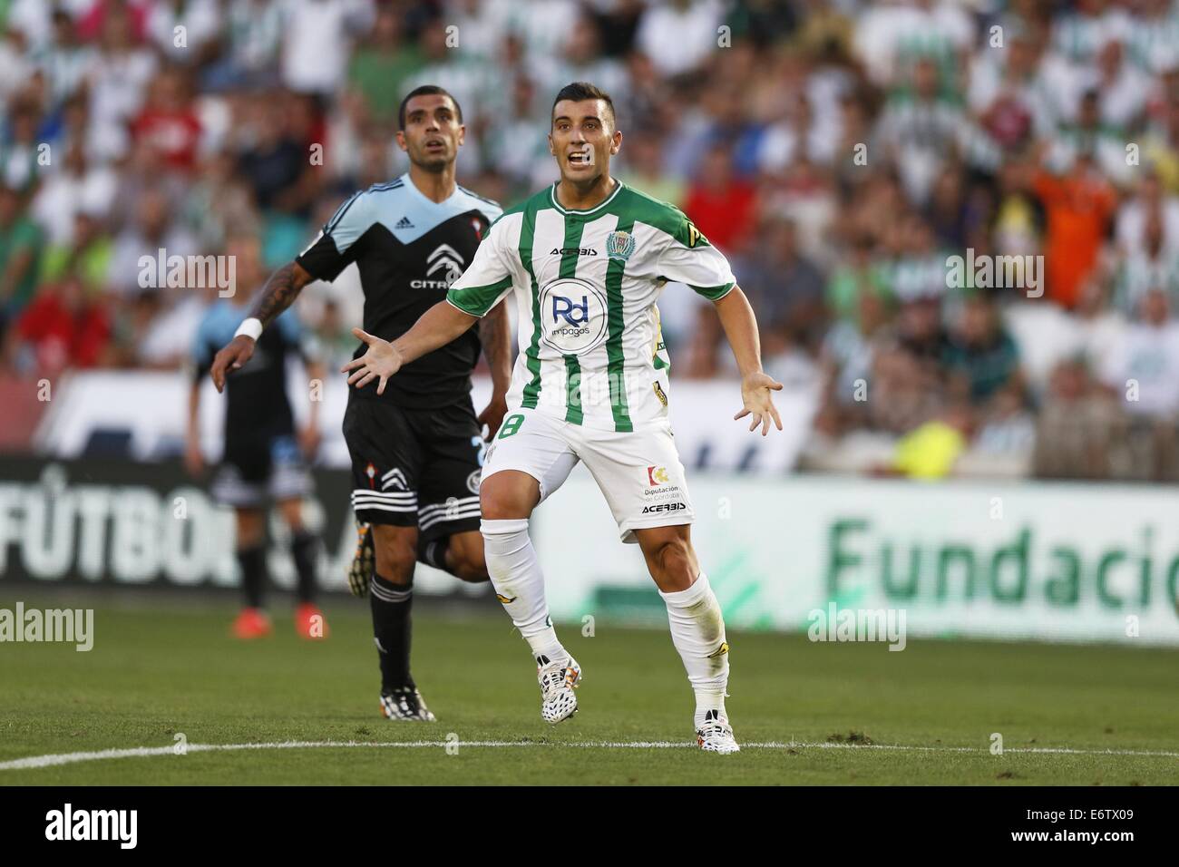 Cordoba, Spain. 30th Aug, 2014. Borja Garcia (Cordoba) Football/Soccer ...