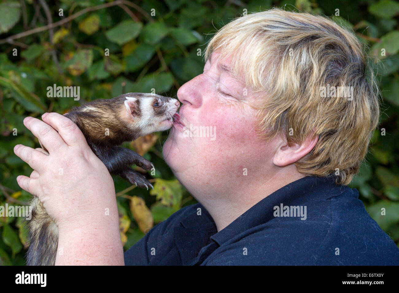 Sheep kissing woman hi-res stock photography and images - Alamy