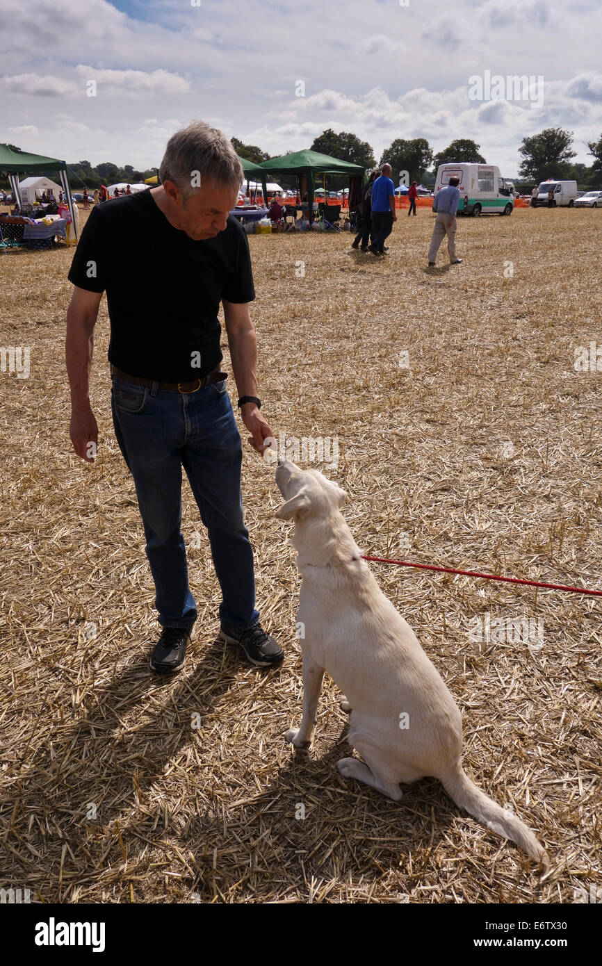 man feeding dog ice cream cone Stock Photo - Alamy