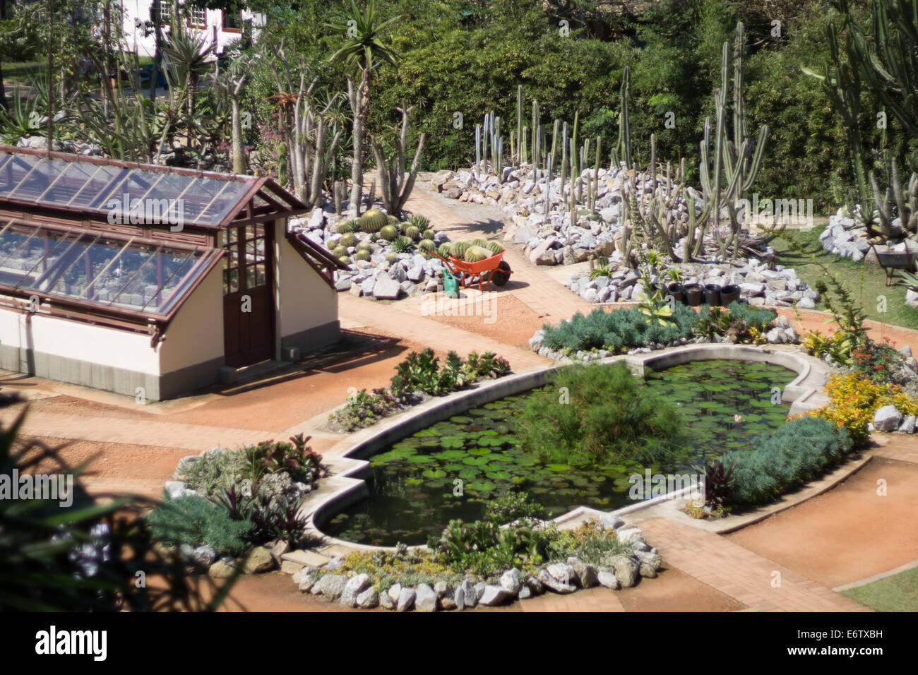 Cactus section in Rio de Janeiro Botanic Garden Stock Photo - Alamy