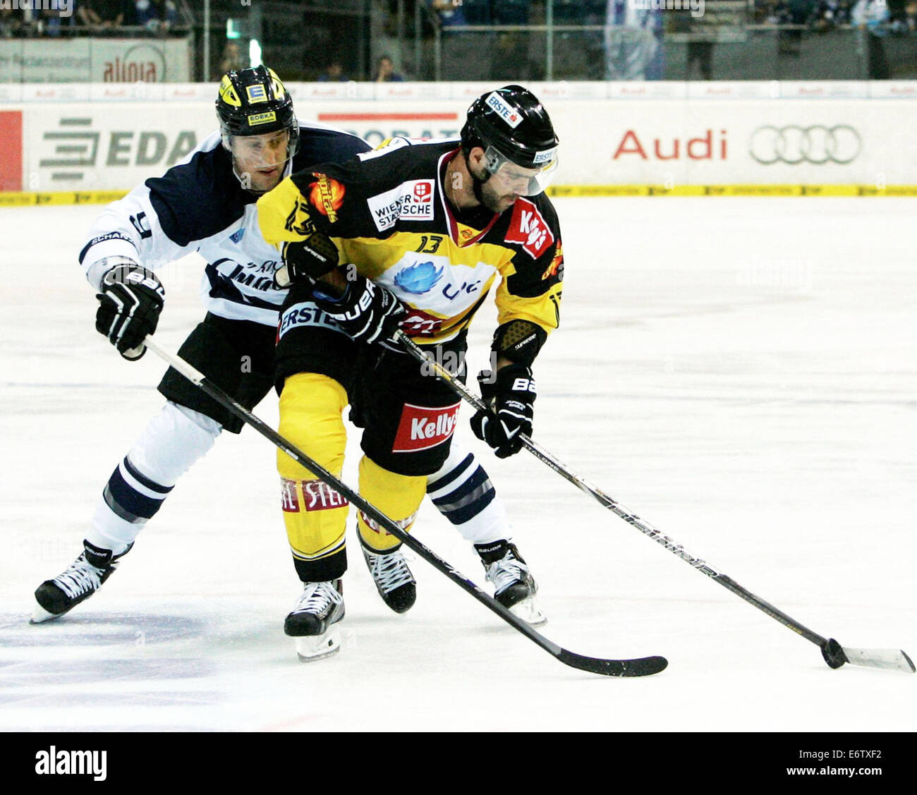 Friendly buck hi-res stock photography and images - Alamy