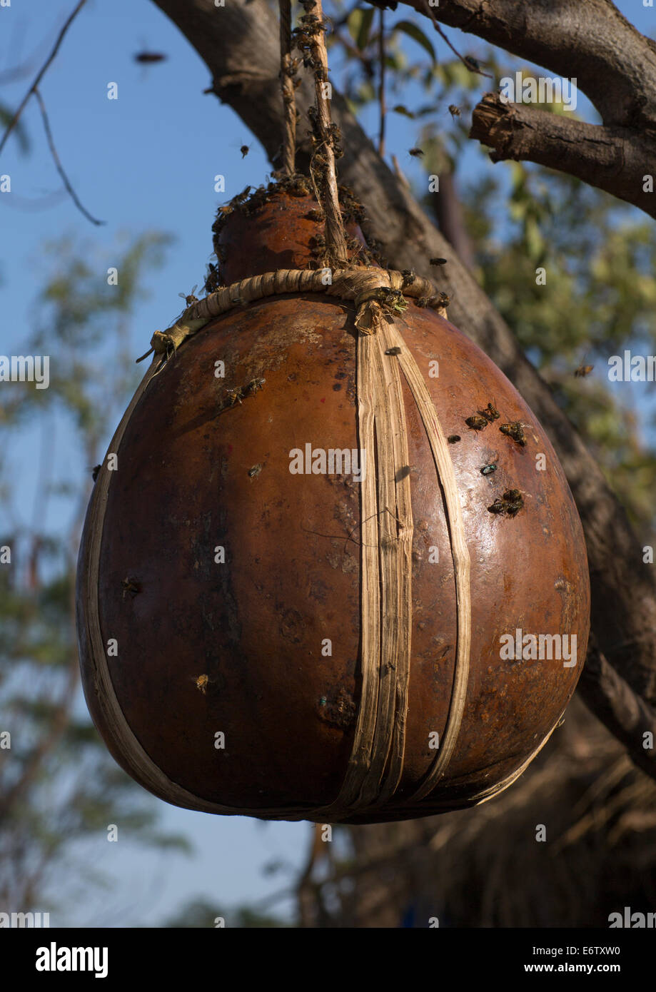 Calabash instrument hi-res stock photography and images - Alamy