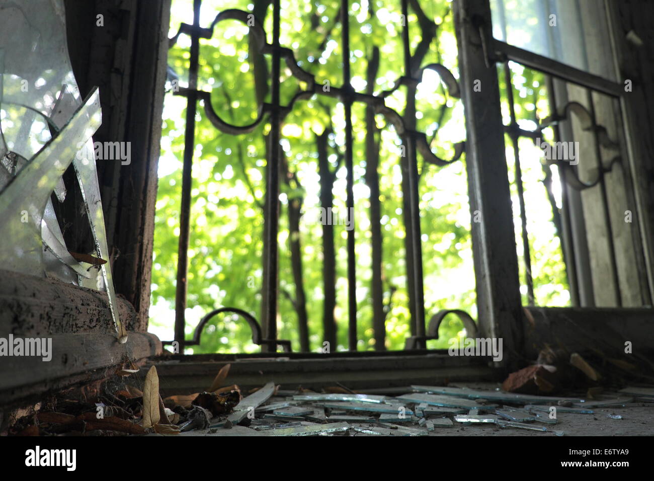 Broken window in abandoned asylum, Italy Stock Photo - Alamy