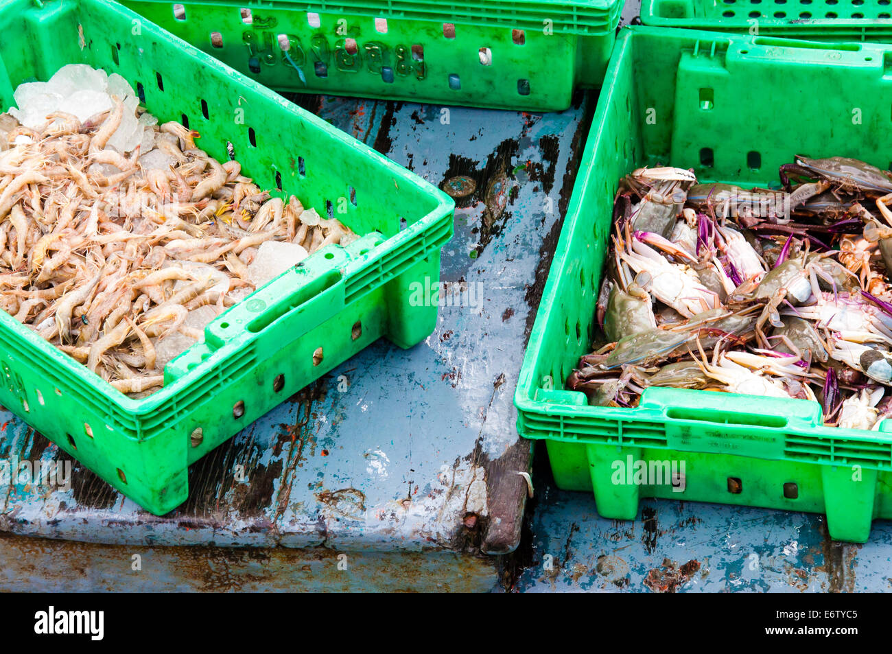 Fresh seafood in boxes at the fish market Stock Photo - Alamy