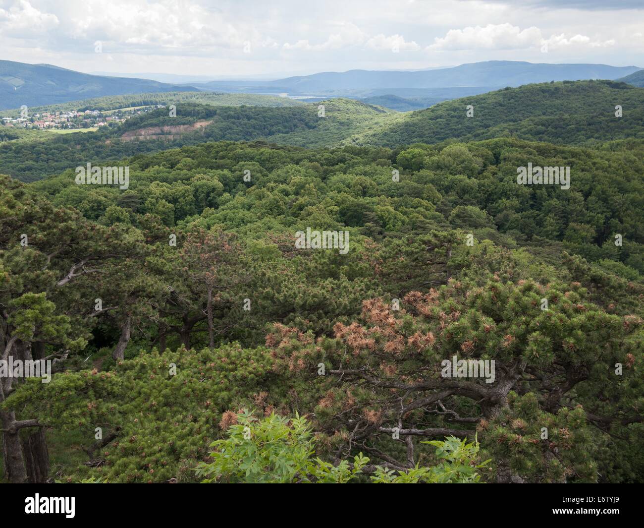 Wienerwald hi-res stock photography and images - Alamy